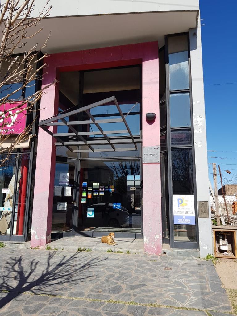 COMIENZA A FUNCIONAR EL PRIMER ALMACÉN VIRTUAL | HoyChivilcoy ...